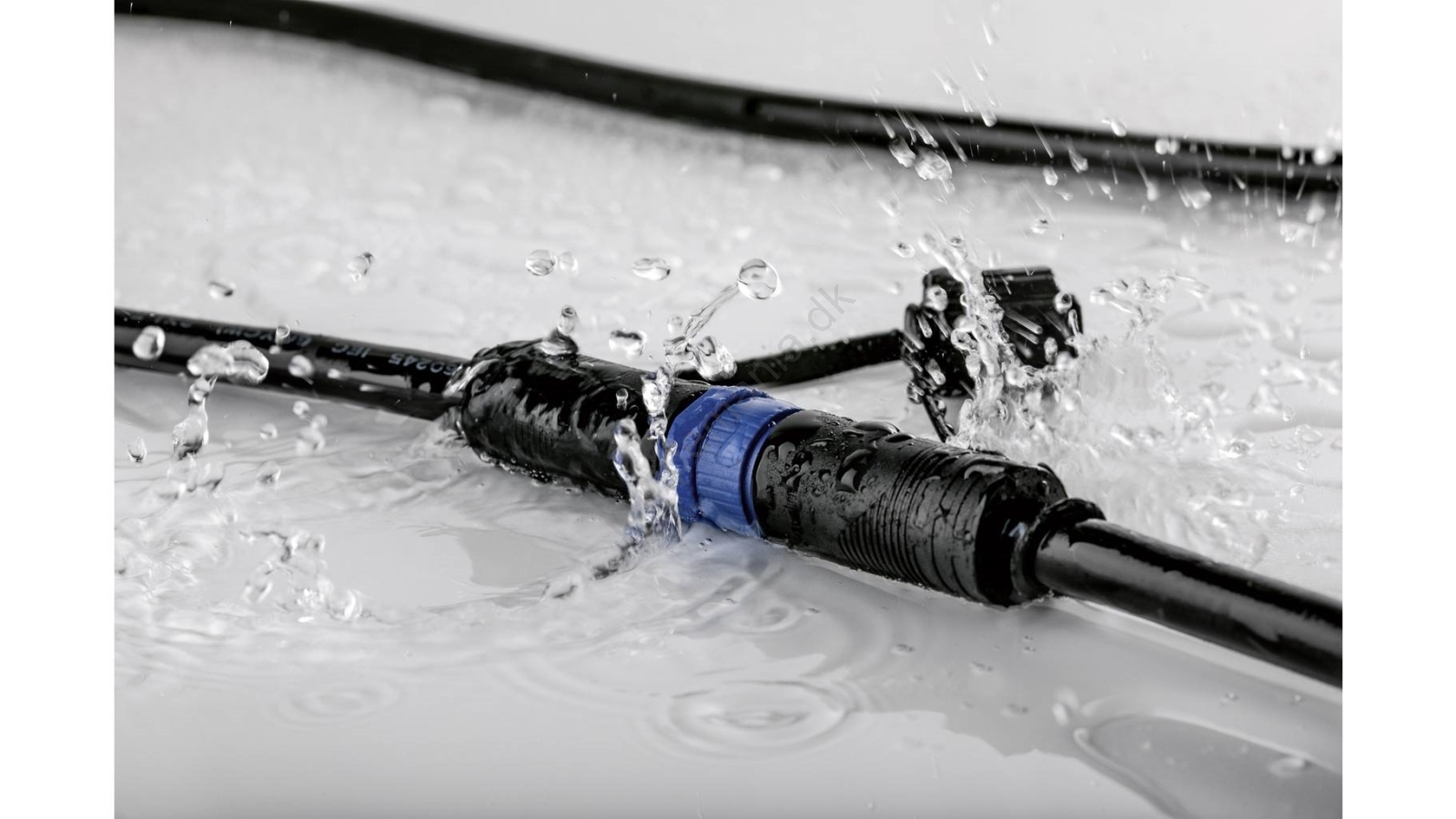 Paulmann 93914 - LED/4,3W IP67 Udendørslampe PLUG&SHINE 24V | Lampemania